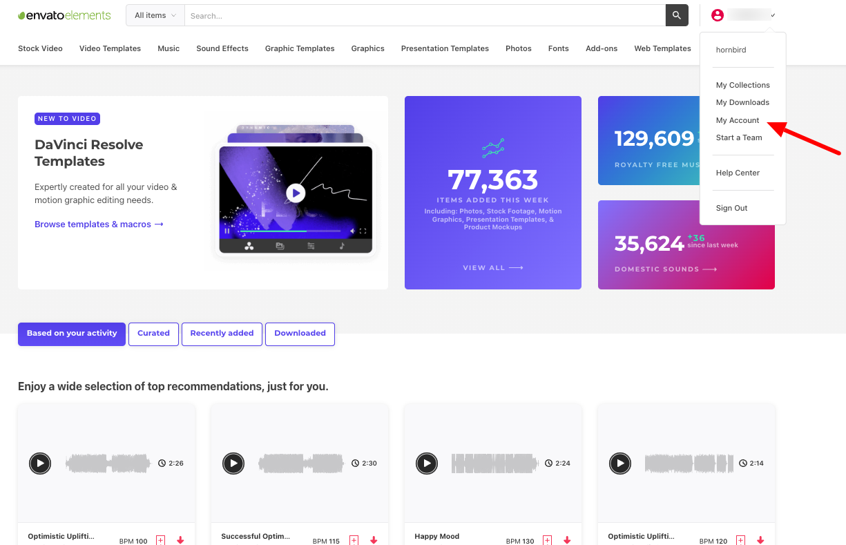 Upgrade your subscription – Envato Elements Support | Help Center