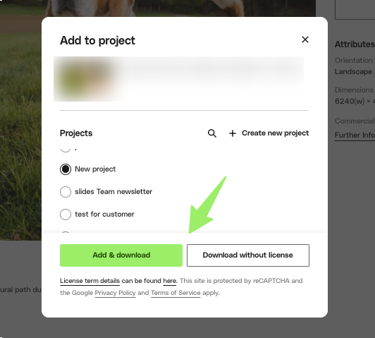 Download Items – Envato Support | Help Center